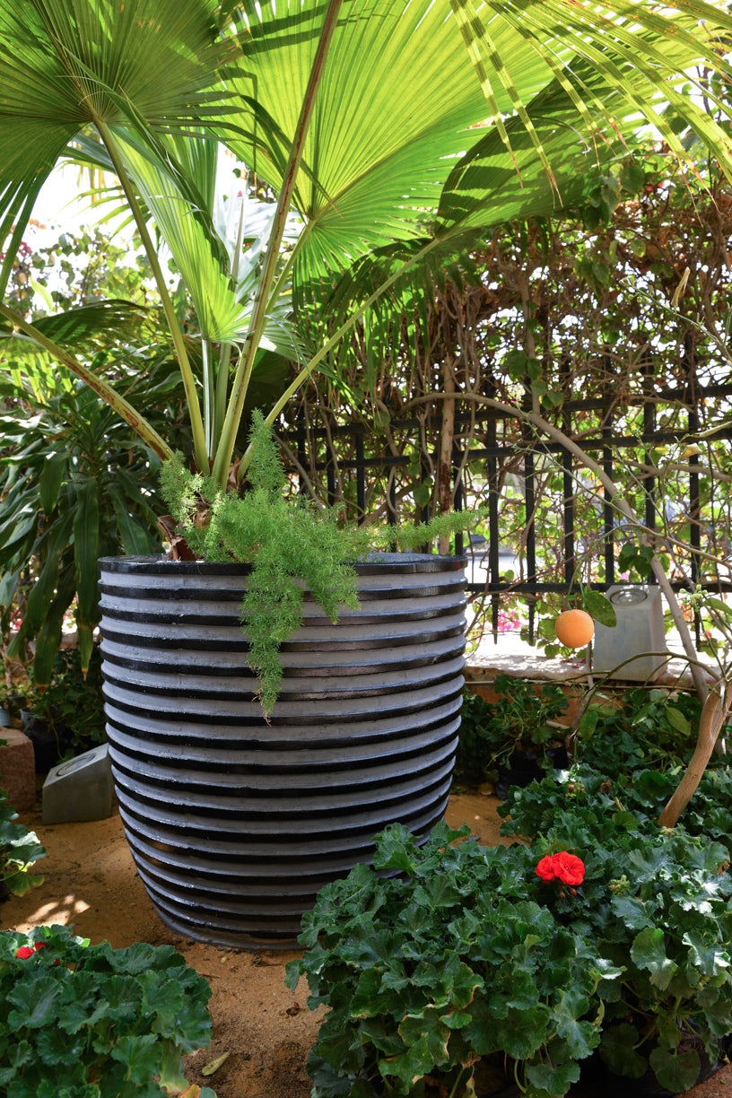 Spiral Pot – Rocks and pots