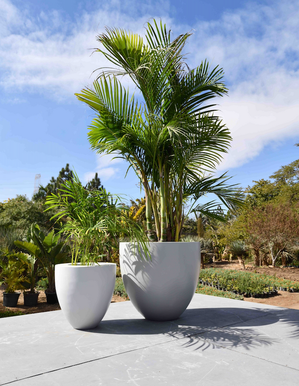 Apple Planters – Rocks and pots